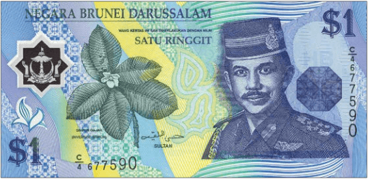 BND - Brunei Dollar - Foreign Currency Exchange in Los Angeles