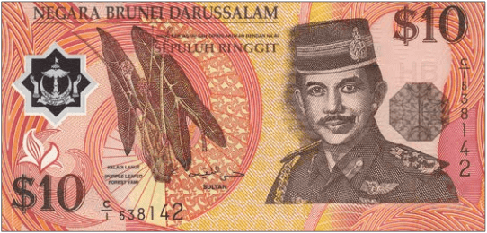 BND - Brunei Dollar - Foreign Currency Exchange in Los Angeles