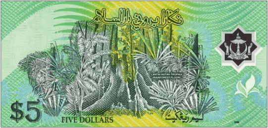 BND - Brunei Dollar - Foreign Currency Exchange in Los Angeles