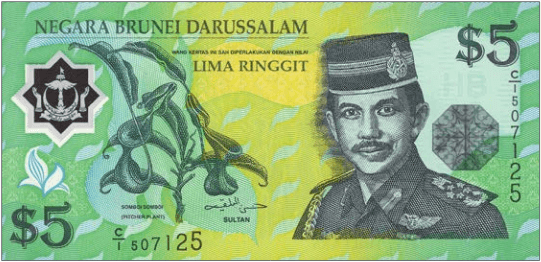 BND - Brunei Dollar - Foreign Currency Exchange in Los Angeles