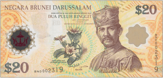 BND - Brunei Dollar - Foreign Currency Exchange in Los Angeles